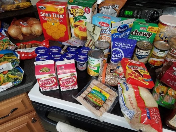 What I Learned Shopping at Dollar Tree - No Getting Off This Train