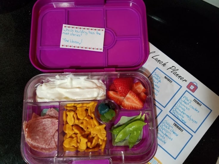 How to Pack a Lunch box for a Picky Eater - No Getting Off This Train