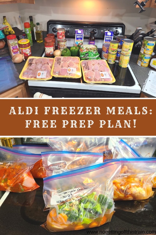 10 Freezer Meals From Aldi In 1 Hour Free Plan No Getting Off This