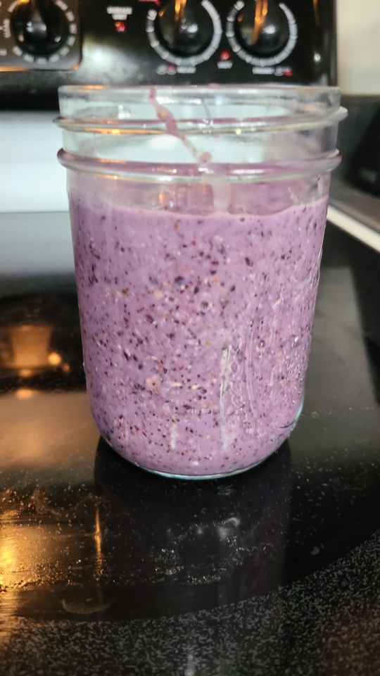 Blueberry Oatmeal Smoothie Recipe- A Healthy Snack! - No Getting Off ...