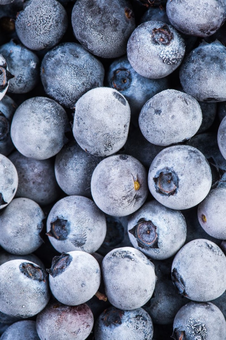 Easily Freeze Blueberries- a Step by Step Guide - No Getting Off This Train