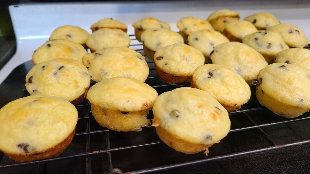 Mini Chocolate Chip Muffins (High Protein, Meal Prep) - No Getting Off ...